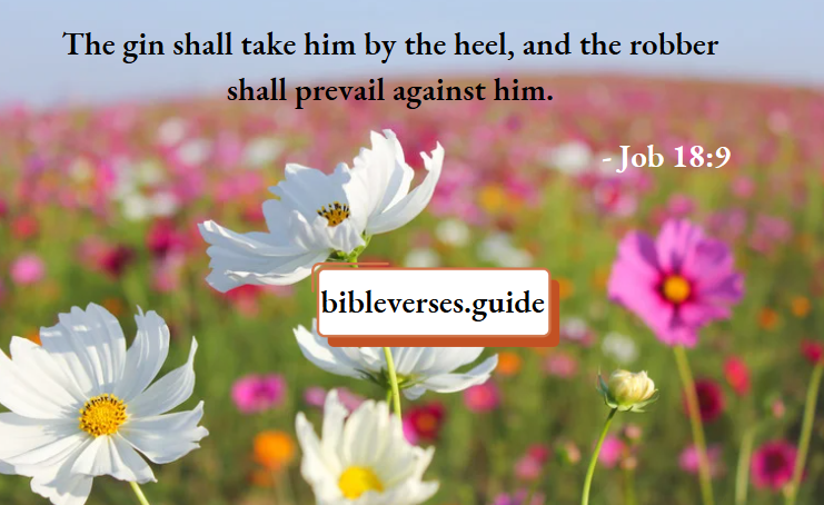 Job 18: When Judgment Replaces Empathy In Friendship - Bible Verses