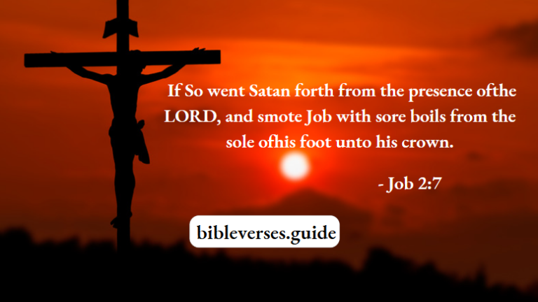 Job 2: The Intersection Of Faith, Suffering, And Patience - Bible Verses