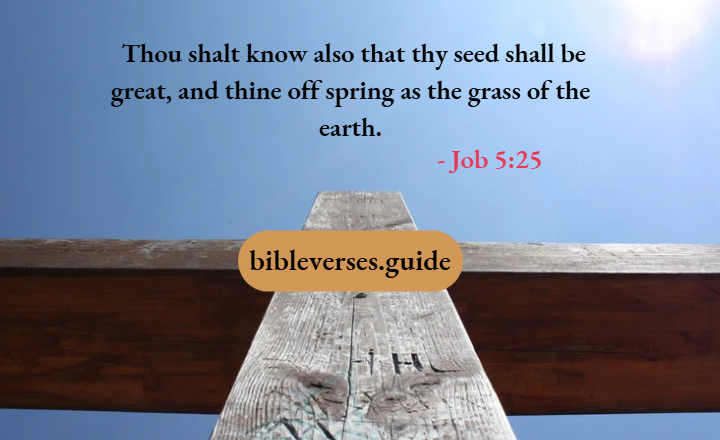 Job 5: Seeking Wisdom In The Midst Of Misapplied Counsel - Bible Verses