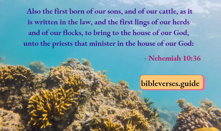 Nehemiah 10: Rebuilding Lives Through Godly Commitment - Bible Verses