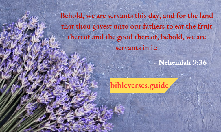 Nehemiah 9: A Powerful Reminder Of God’s Covenant Love - Bible Verses