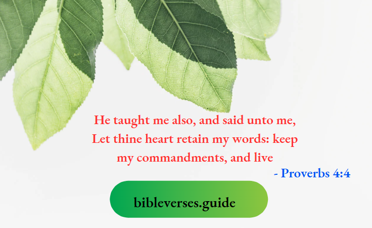 Proverbs 4: The Father’s Call To Wisdom - Bible Verses