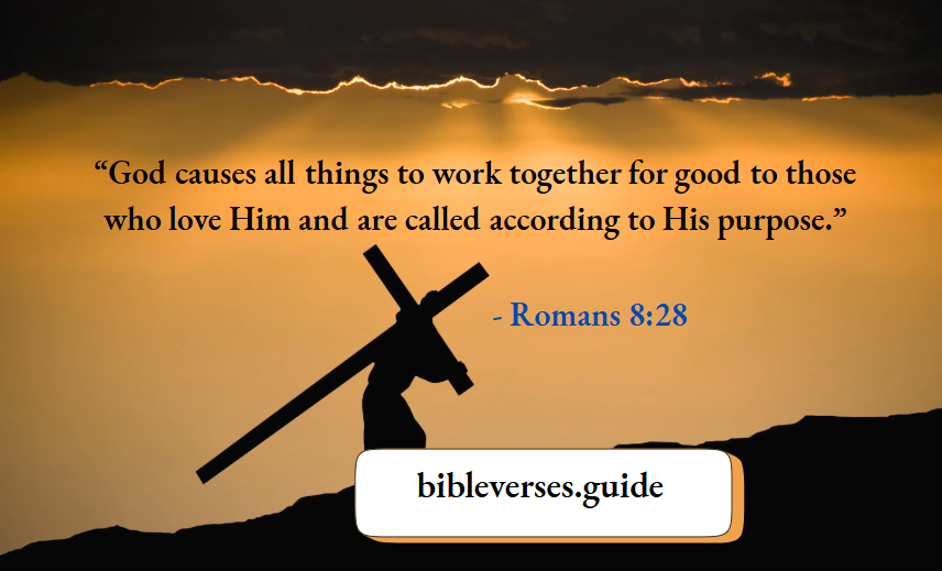 Bible Verses About Living a Godly Life - Bible Verses